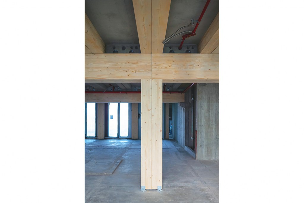Betonfertigteile Lütkenhaus GmbH LTKH® Holz-Beton Verbunddecke ...
